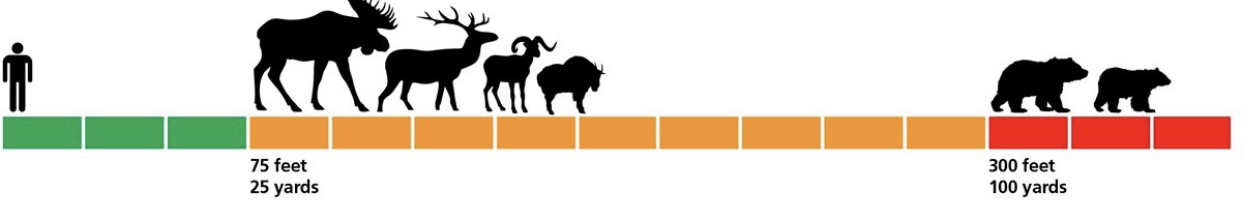 Leave No Trace 101 | kateoutdoors.com