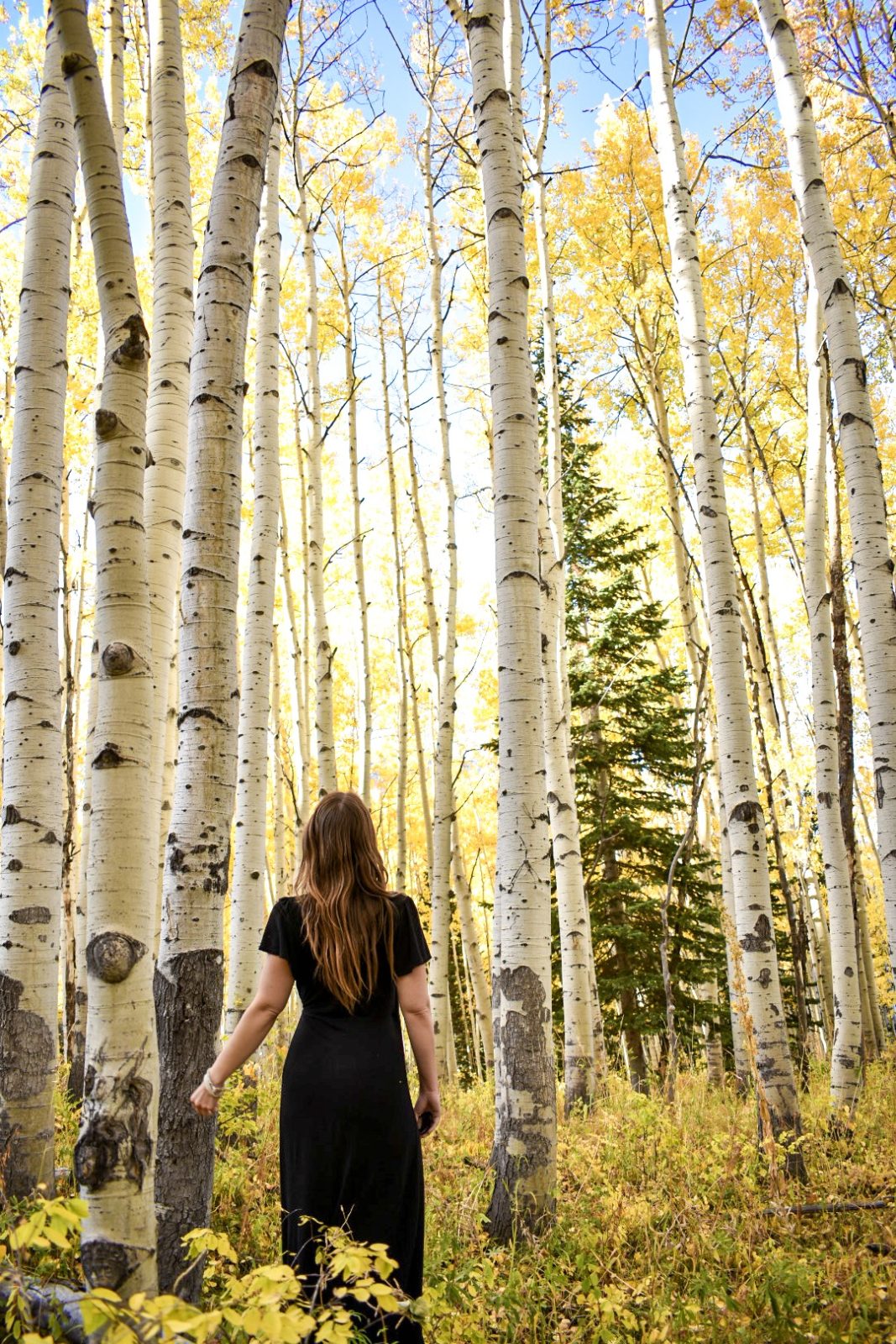Where to Find the Best Fall Colors in Colorado | kateoutdoors.com