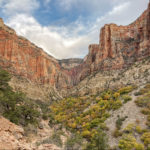 Hiking Rim to Rim in the Grand Canyon: Everything You Need to Know ...